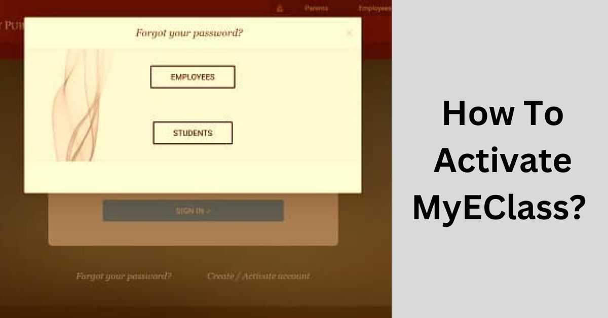 How To Activate MyEClass? A Beginners Guide In 2023